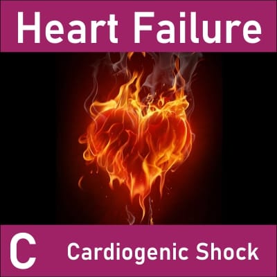 Heart Failure C: Crash & Burn: Cardiogenic Shock – Health Links Education